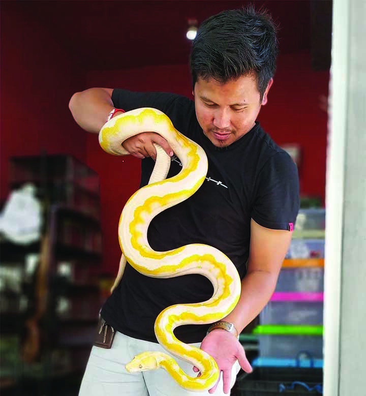 Muhammad Diki Firmansyah, Bisnis Reptil dari Hobi